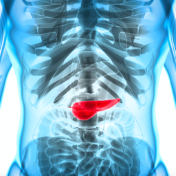 Exercise Guide for Chronic Pancreatitis: Which Exercises Should Be ...