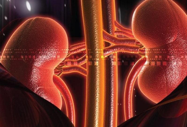 Post-Kidney Transplant Exercise: How to Start Physical Activity ...