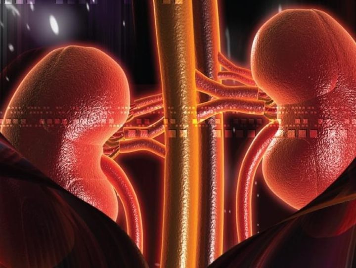 Post-Kidney Transplant Exercise: How to Start Physical Activity? - Expert Cancer Surgeon