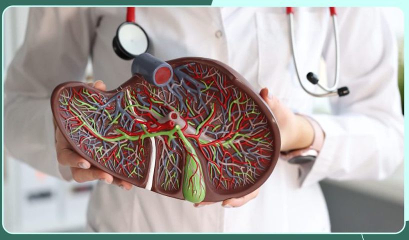 Waarom is orgaandonatie belangrijk voor levertransplantatie ...